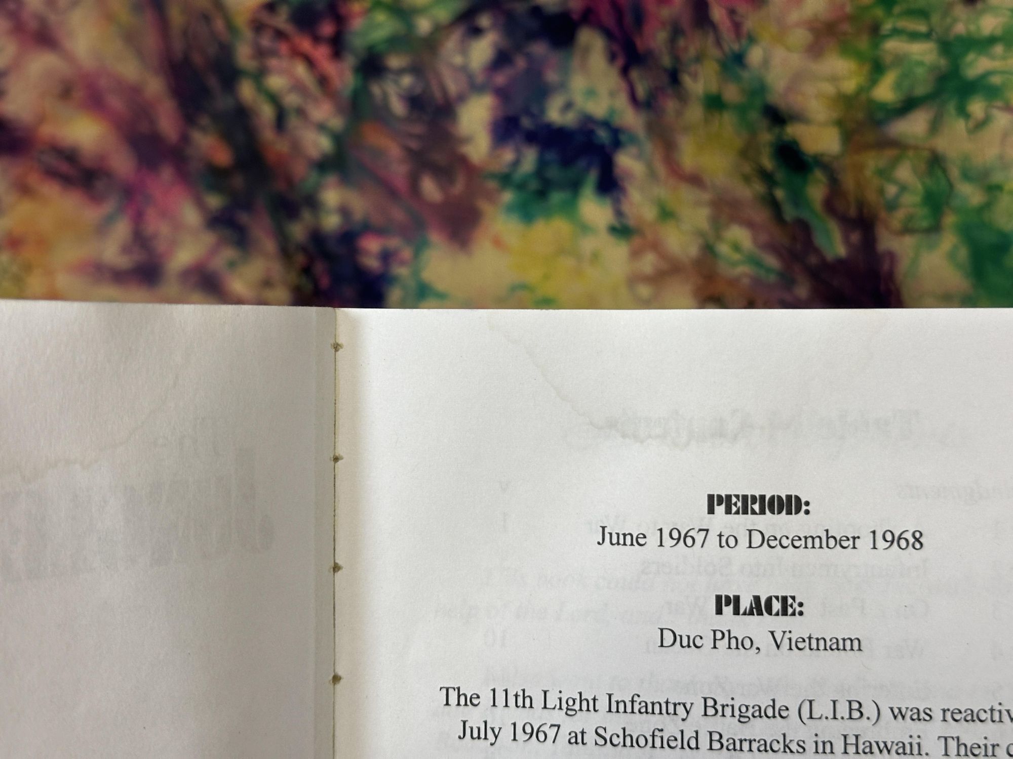 The Jungle Warriors: A True Story | Bobby Briscoe | 2nd edition